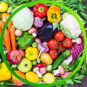 Golden Hills Farm | Best Quality Seeds, Live Plants & Gardening Supplies